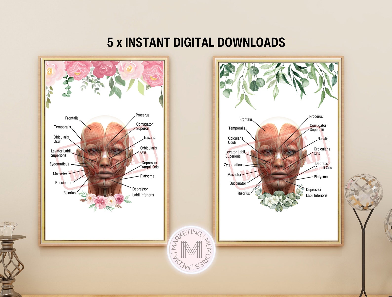 Bundle of 3 Aesthetics Posters, Botox Placement, Anti-wrinkle, Muscles ...