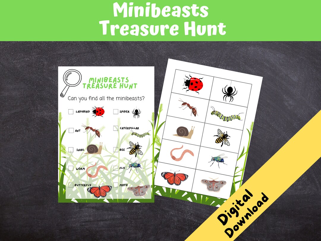 Minibeasts Treasure Hunt, Kids Birthday Party Games, Minibeasts ...