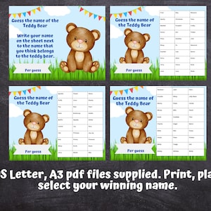 Guess the Teddy Bear Name Game: Printable Fundraiser (digital Download ...