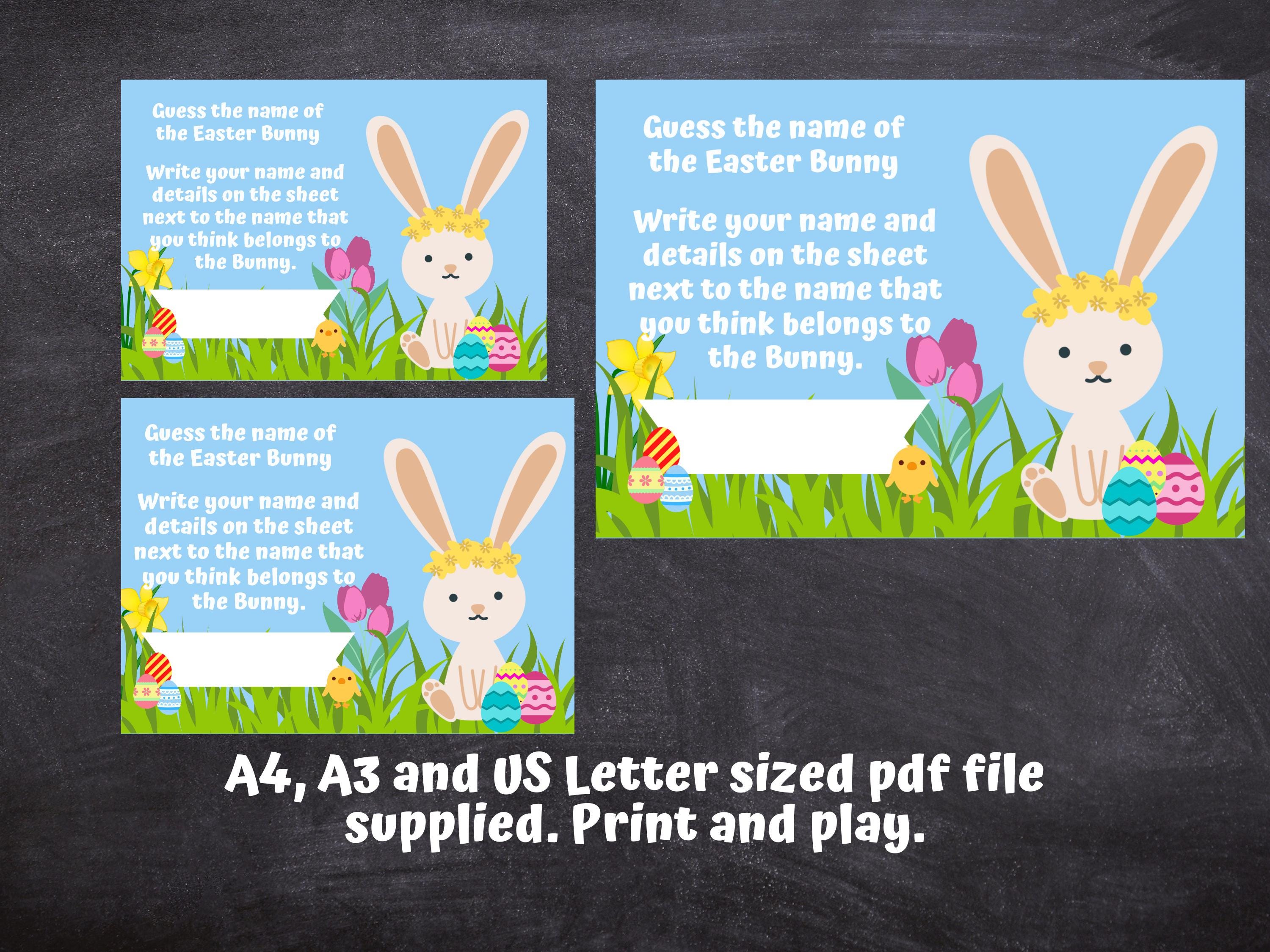 Guessing Game, Guess the Name of the Easter Bunny, Easter Fete, Charity ...