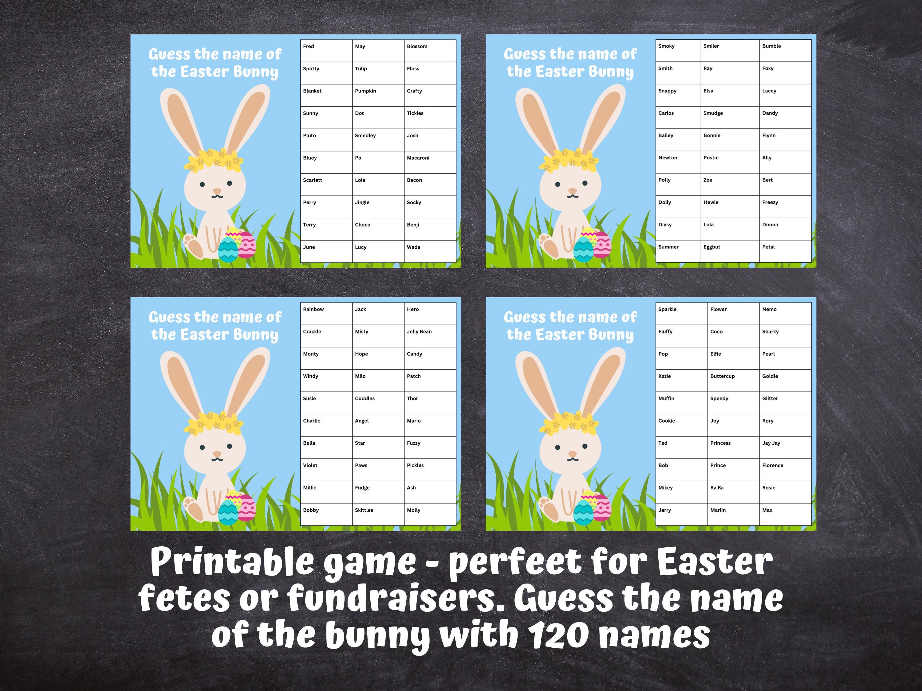 Guessing Game, Guess the Name of the Easter Bunny, Easter Fete, Charity ...