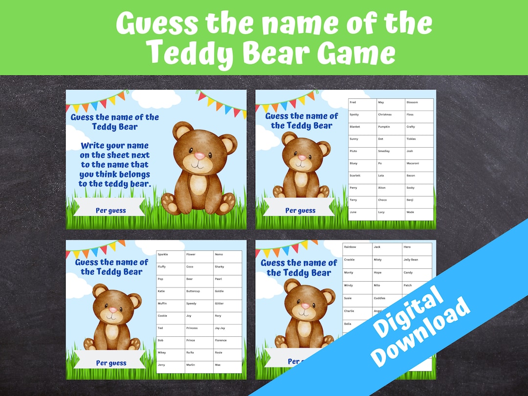 Guessing Game, Guess the Name of the Teddy Bear, Summer Fete, Charity ...