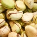 White Kola Nuts/ 1lbs - Etsy