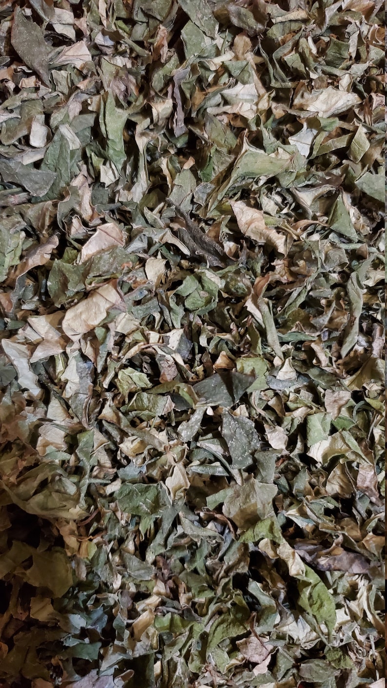 Dried Uziza Leaves - Etsy