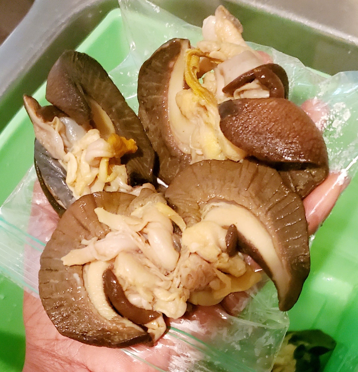 Fresh Frozen Snail / 10 Pieces - Etsy