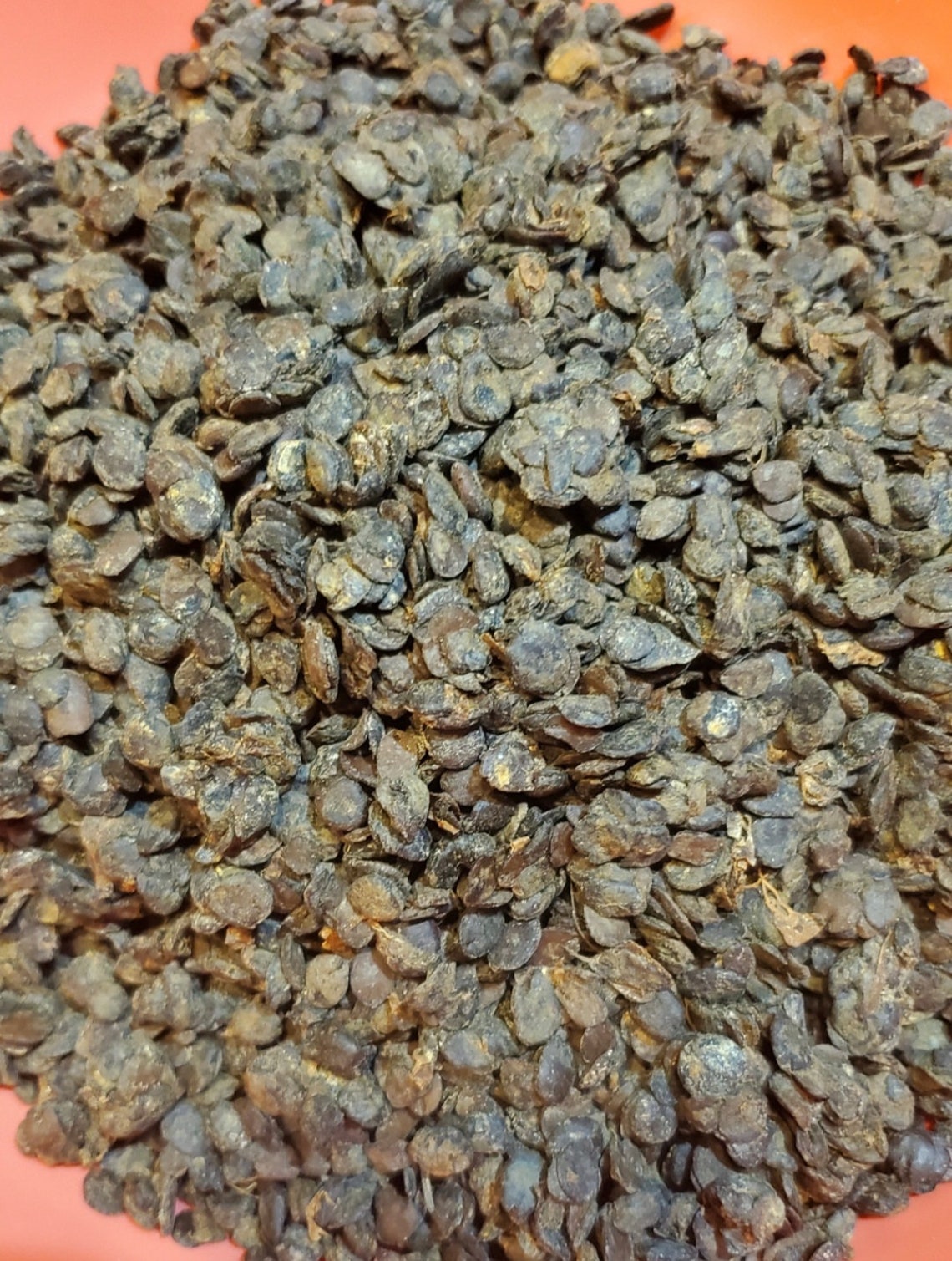 Dried Iru, Locust Beans 3oz - Etsy