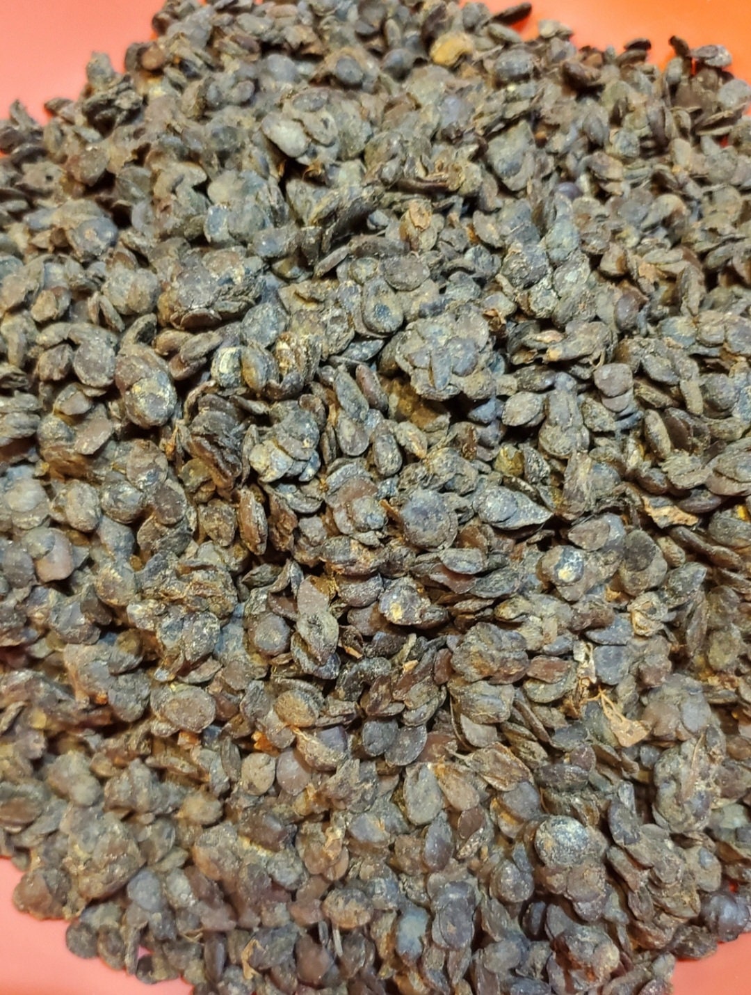 Dried Iru, Locust Beans 3oz - Etsy