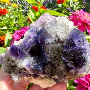 Spanish Fluorite With Quartz and Barite From Berbes Spain Cubic ...