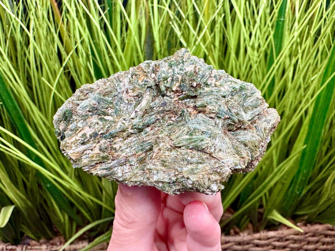 Rare Green Actinolite Crystals in Schist Bulgaria Actinolite Mica ...