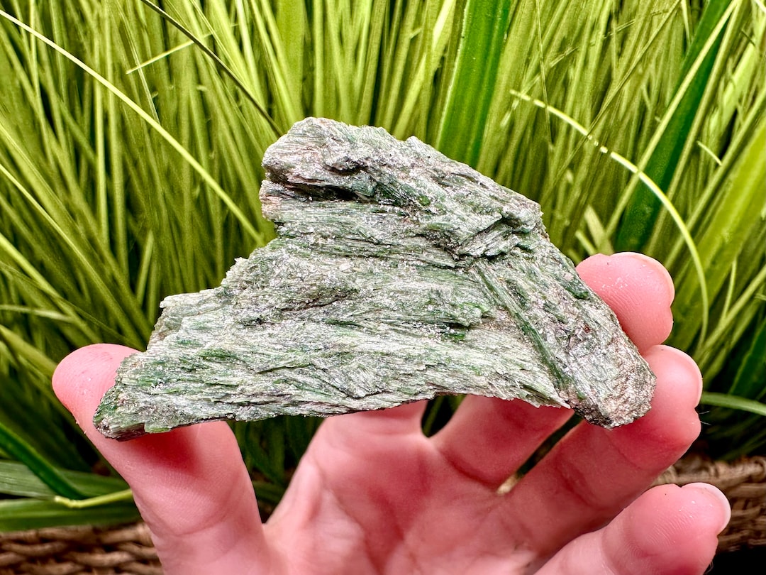 Shiny Green Actinolite in Schist From Bulgaria Actinolite Mica Schist ...