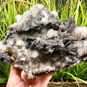 Goethite Epimorph Selenite Crystals Santa Eulalia, Mexico Black ...