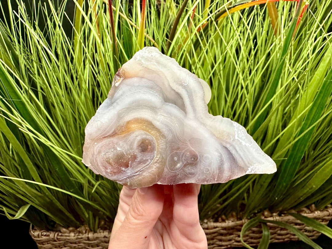 Fluorescent Fire Agate 3.3" Arizona Botryoidal Chalcedony Fluorescent ...