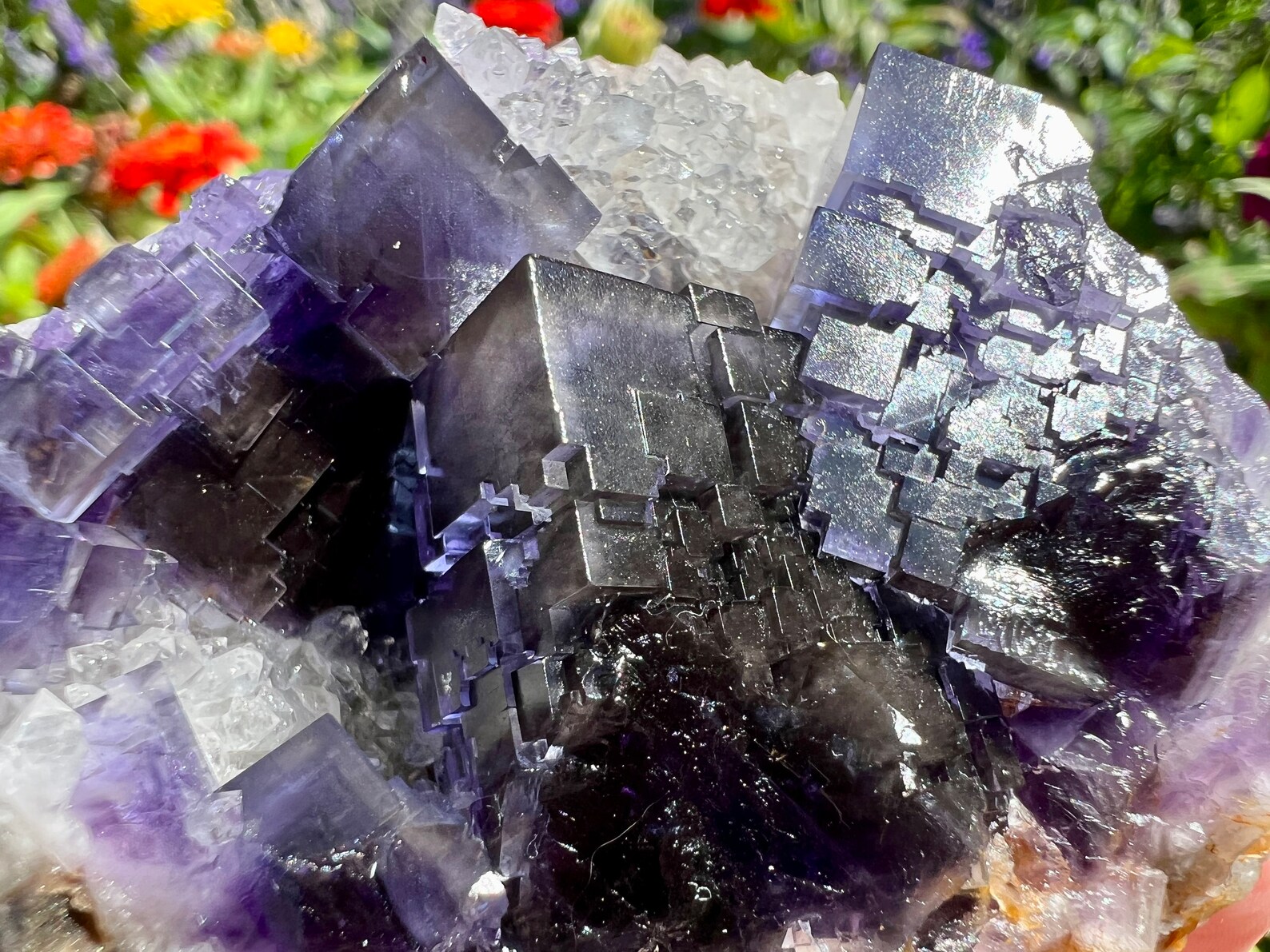 Spanish Fluorite With Quartz and Barite From Berbes Spain Cubic ...
