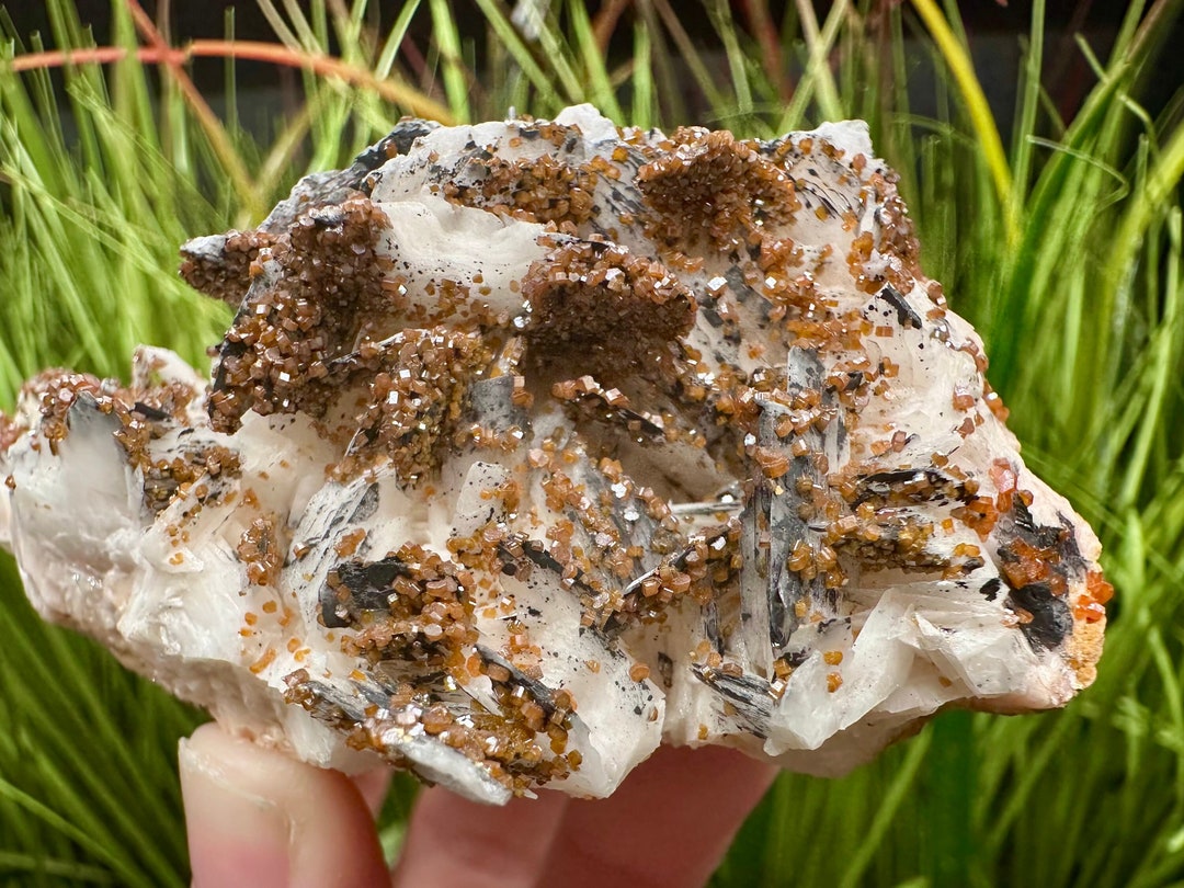 Self-standing Vanadinite on Barite With Goethite Morocco Druzy ...