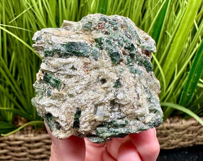 Green Actinolite in Mica Bulgaria Actinolite in Schist White Mica White ...