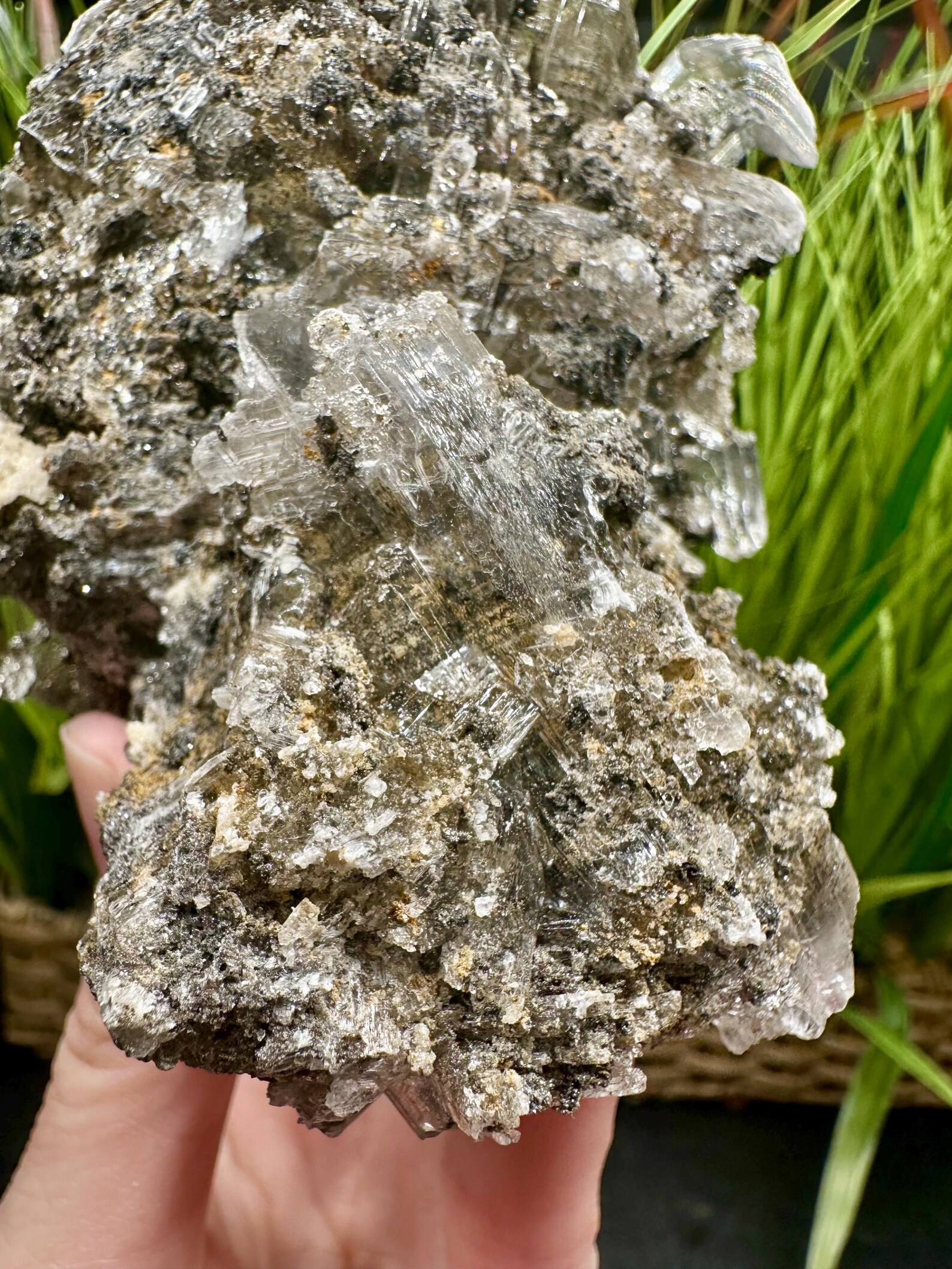 Clear Selenite Crystal Cluster in Matrix, Mexico Gypsum - Etsy
