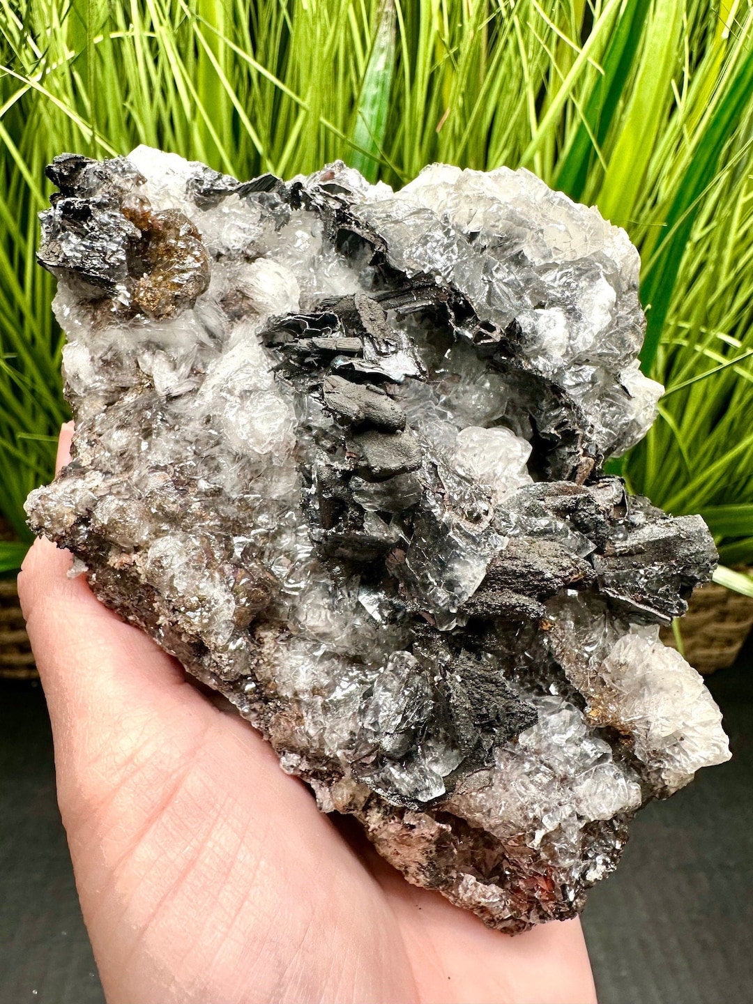 Goethite Epimorph Selenite Crystals Santa Eulalia, Mexico Black ...