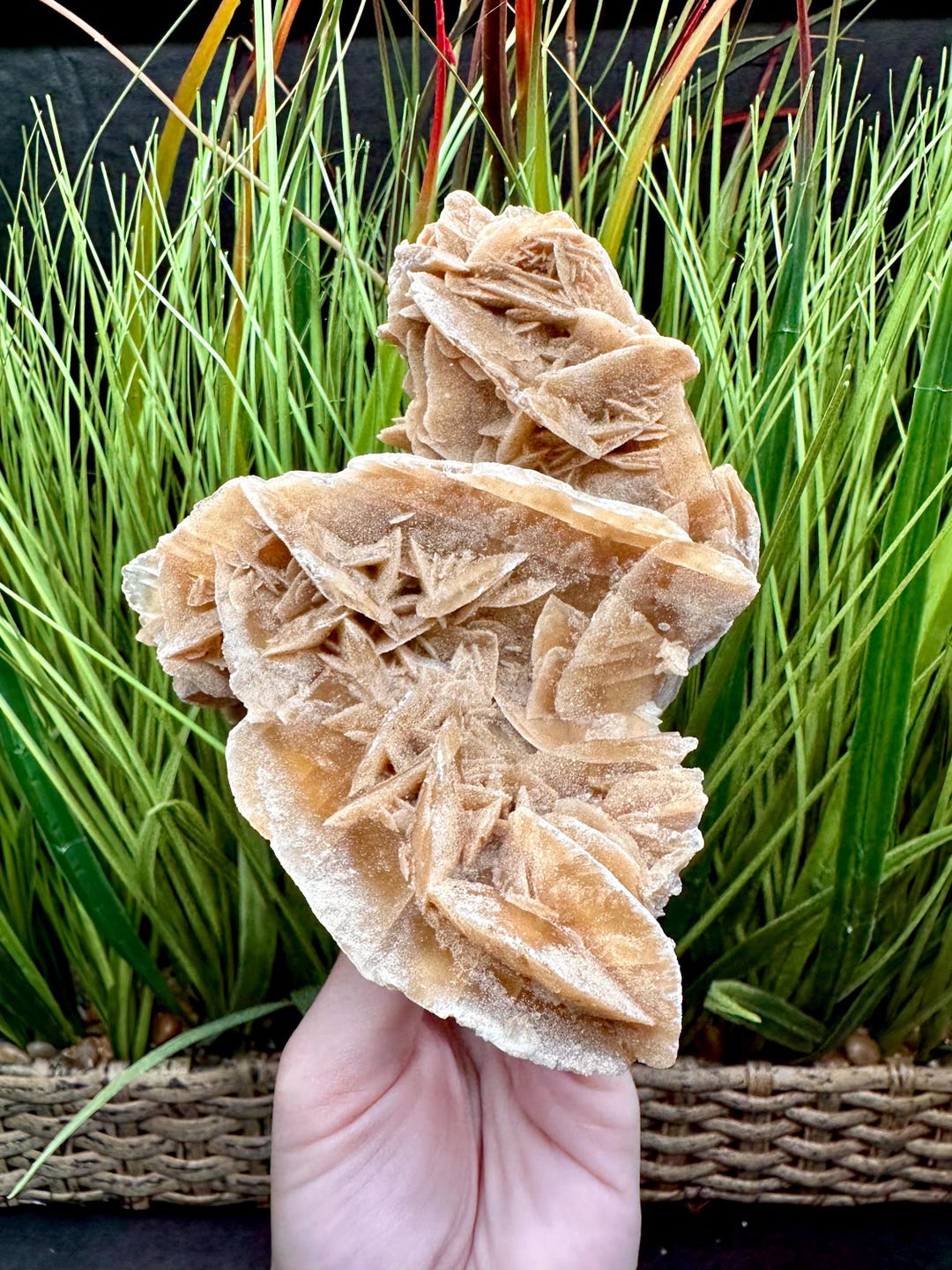 Self-standing Desert Rose Selenite Cluster 4.6" Tunisia Sand Rose ...