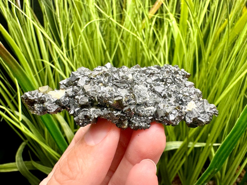 Self-standing Sphalerite Var. Cleiophane 9th September Mine Bulgaria ...