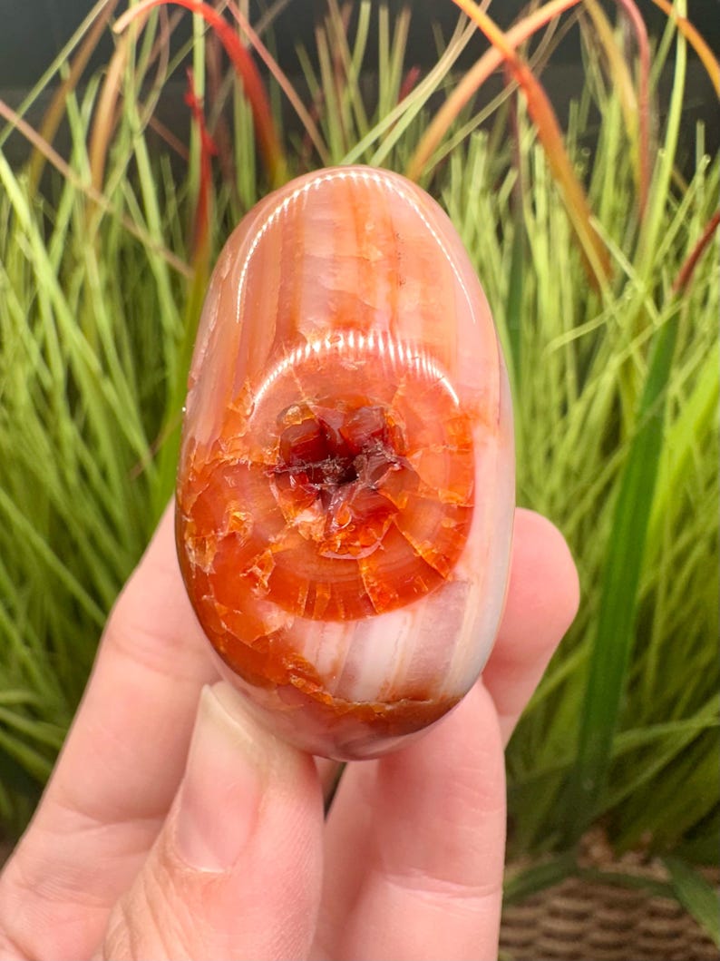 Carnelian Geode From Madagascar; Colorful Palm Stone - Etsy
