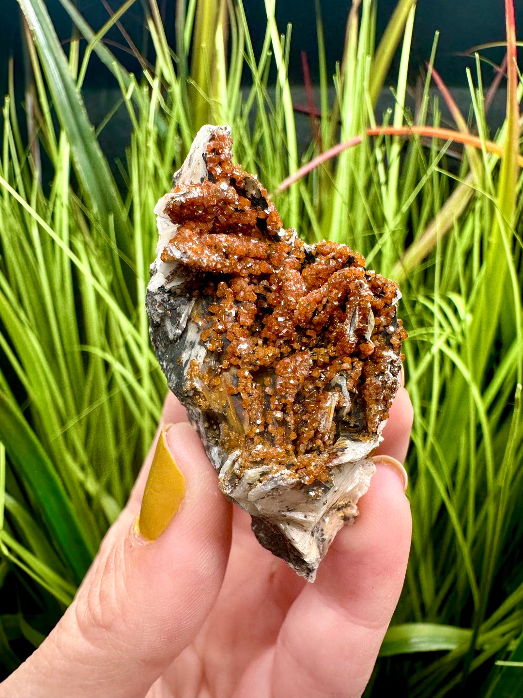 Small Vanadinite on Barite With Goethite From Morocco Drusy Vanadinite ...