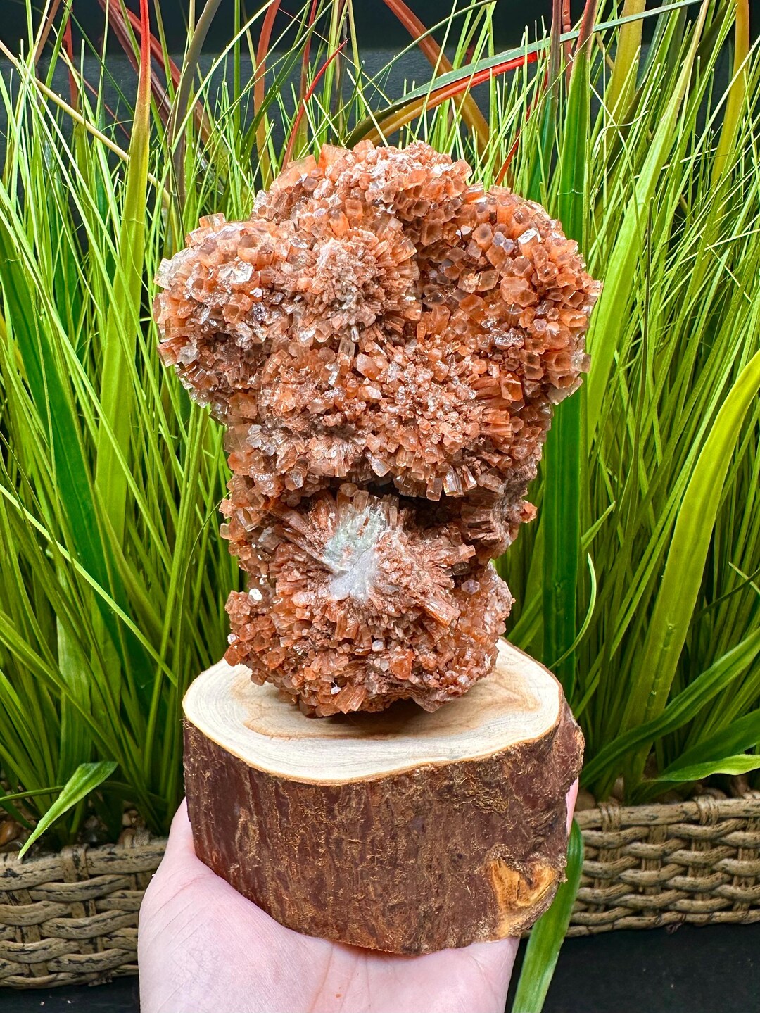 Star Aragonite Crystals 1.9 Lbs Aragonite Cluster Morocco Red Aragonite ...