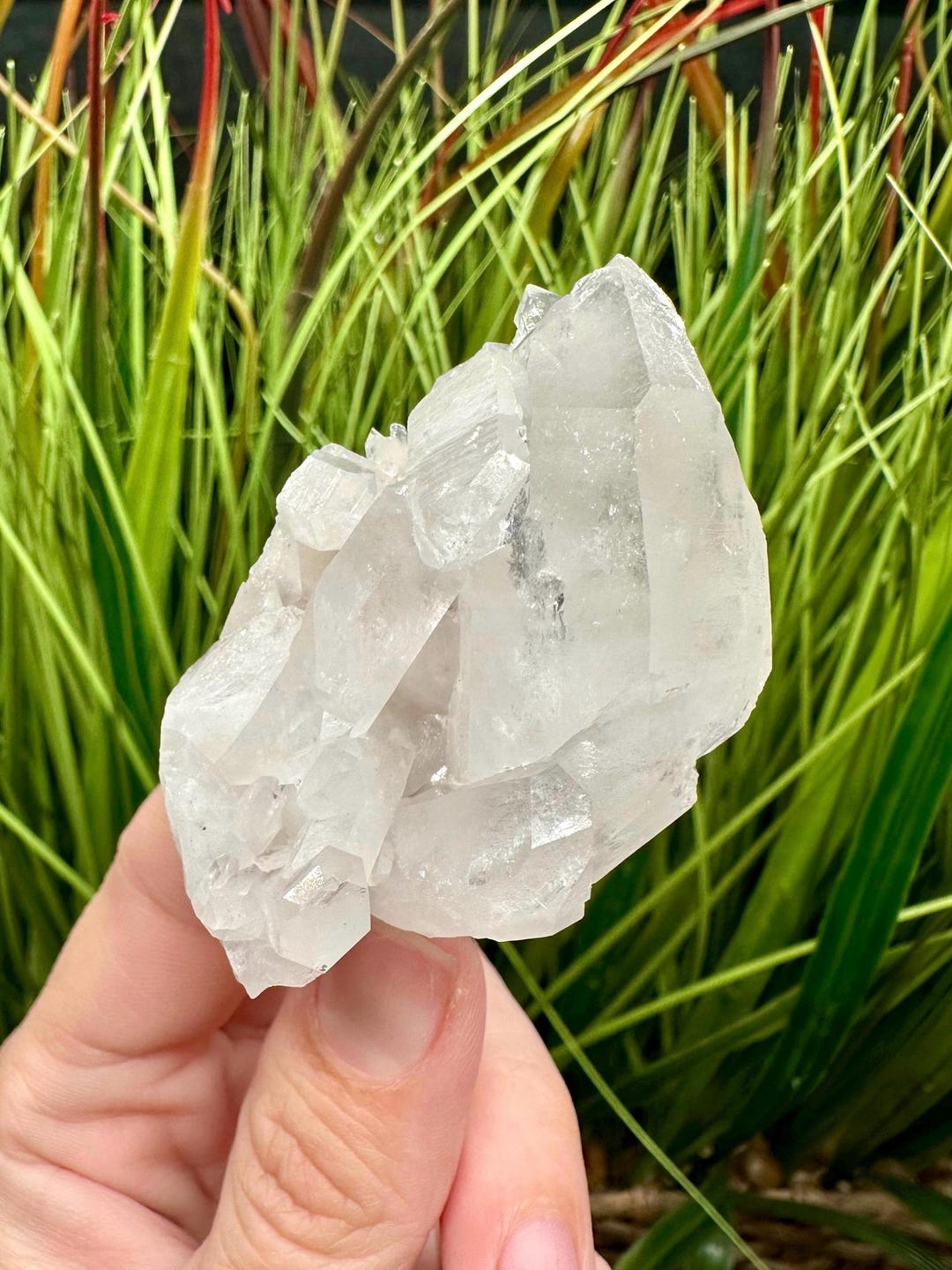 Self-standing Quartz Crystal Cluster From Arkansas Small Quartz Cluster ...