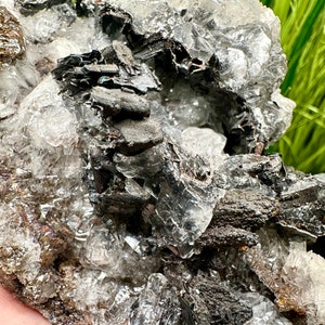 Goethite Epimorph Selenite Crystals Santa Eulalia, Mexico Black ...
