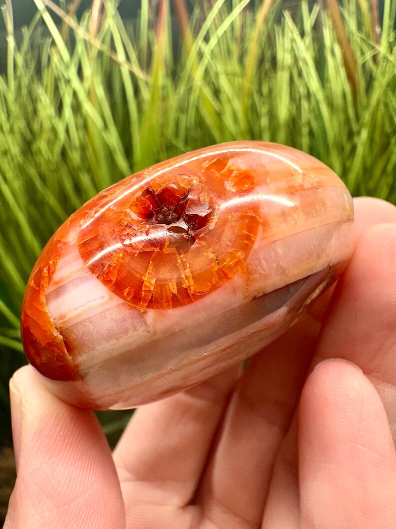 Carnelian Geode From Madagascar; Colorful Palm Stone - Etsy