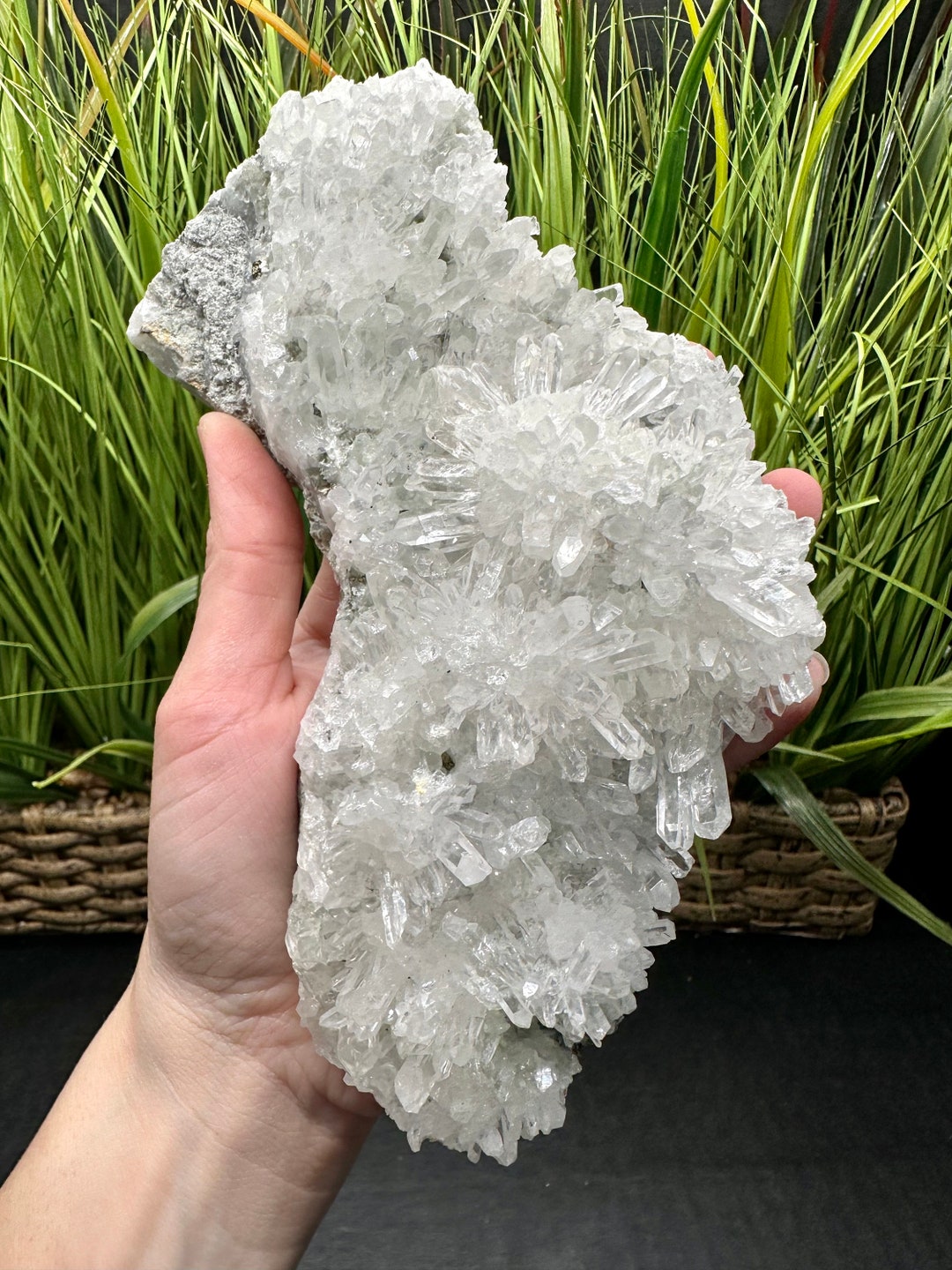 Clear Quartz Rosette Cluster With Pyrite on Matrix Bulgaria White ...