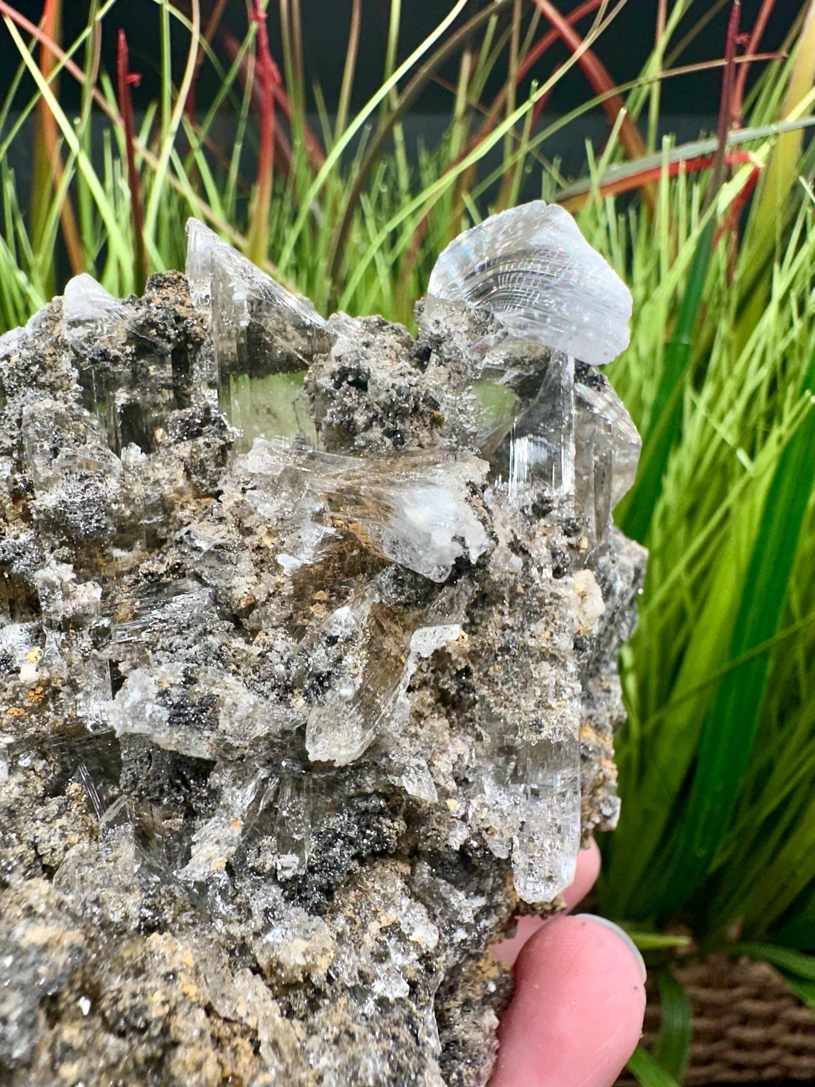 Clear Selenite Crystal Cluster in Matrix, Mexico Gypsum - Etsy