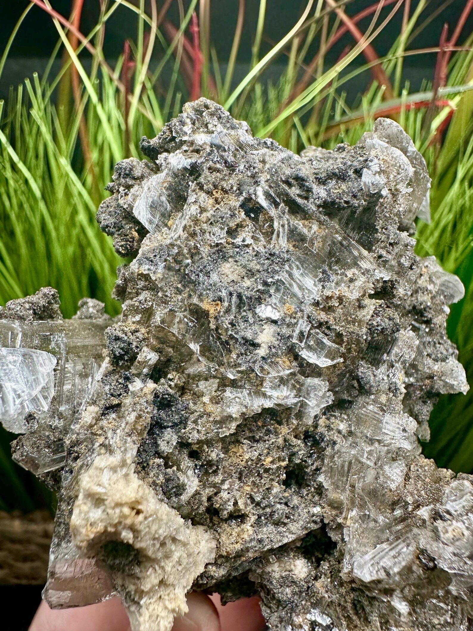 Clear Selenite Crystal Cluster in Matrix, Mexico Gypsum - Etsy