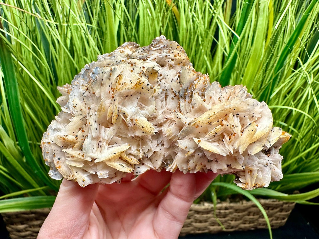 Vanadinite on Barite Rosettes With Goethite Morocco White Barite Black ...