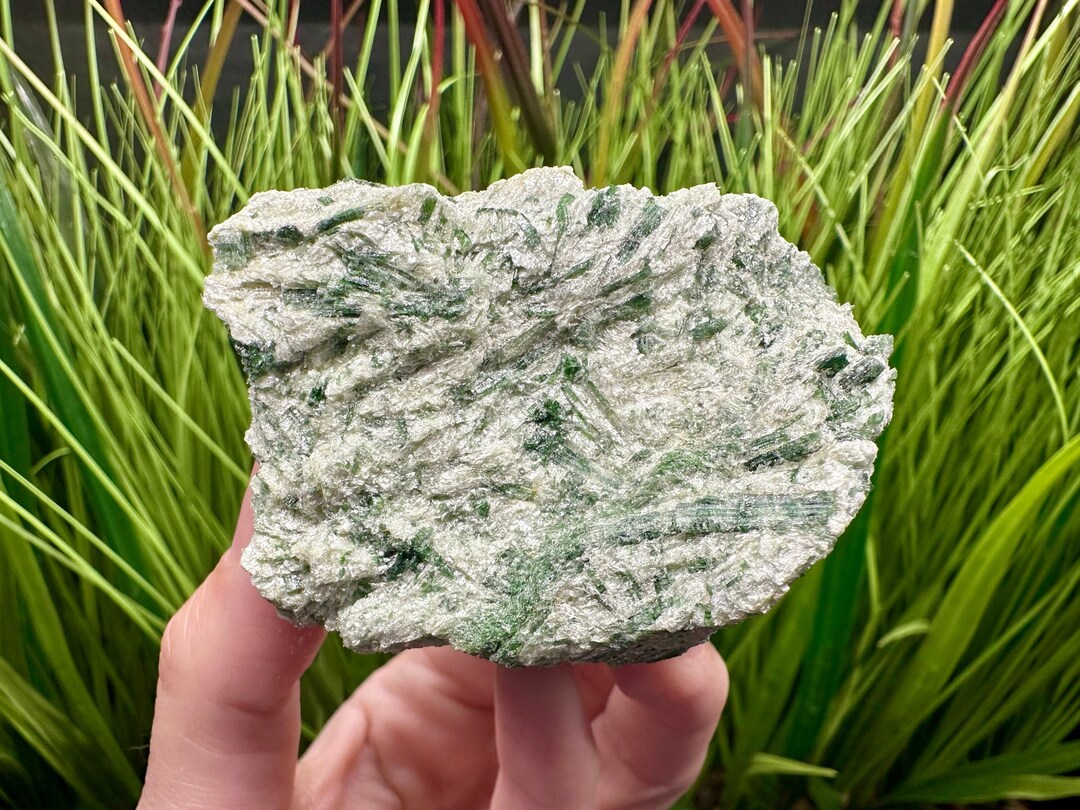 Green Actinolite in Mica Bulgaria Actinolite in Schist White Mica White ...