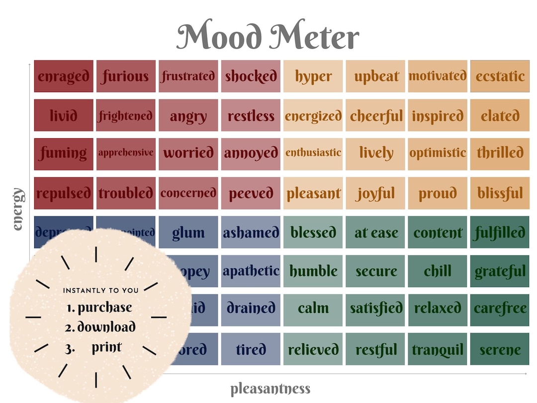 Buy Mood Meter Zones of Regulation Feelings Chart Emotion Online in ...