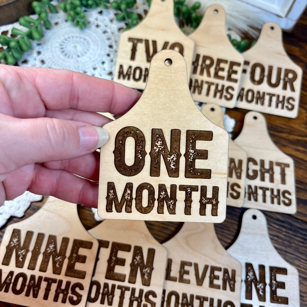 Baby Monthly Milestone Cow Ear Tag Milestone Set Baby Shower Gift ...