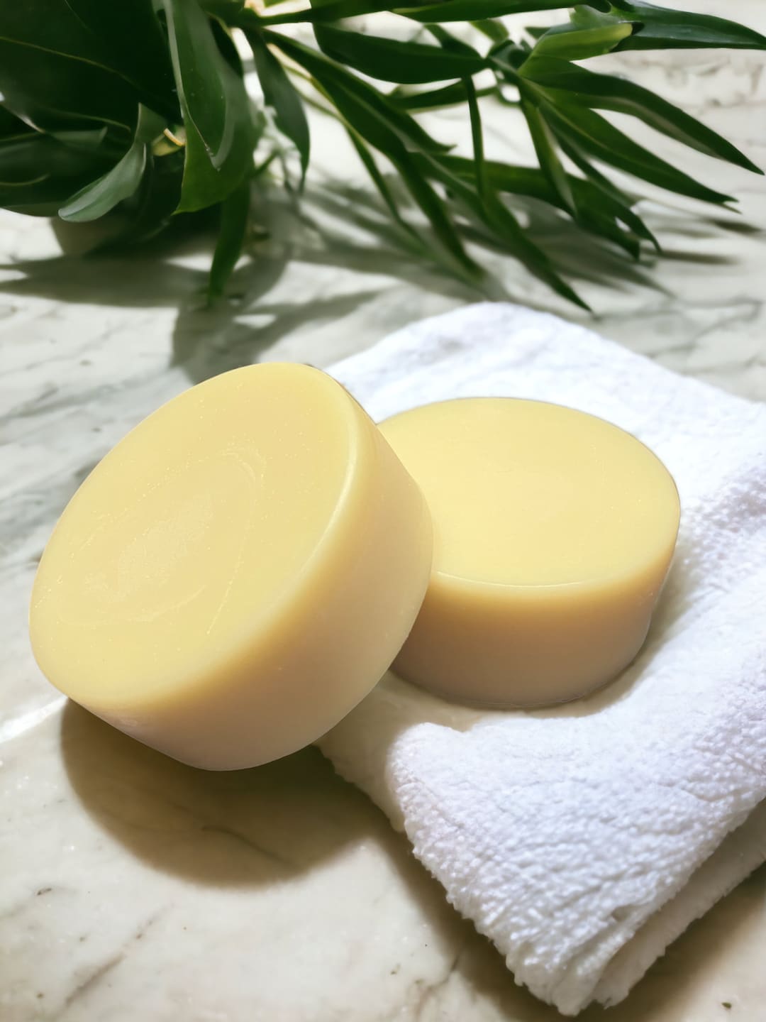 Solid Conditioner Bar, Hydrating Hair Care, Gentle Formula, Plastic ...