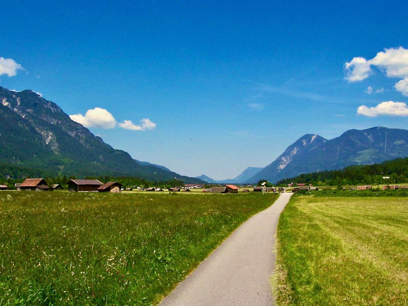 German Meadow Digital Download Photo Print Wallpaper Background - Etsy