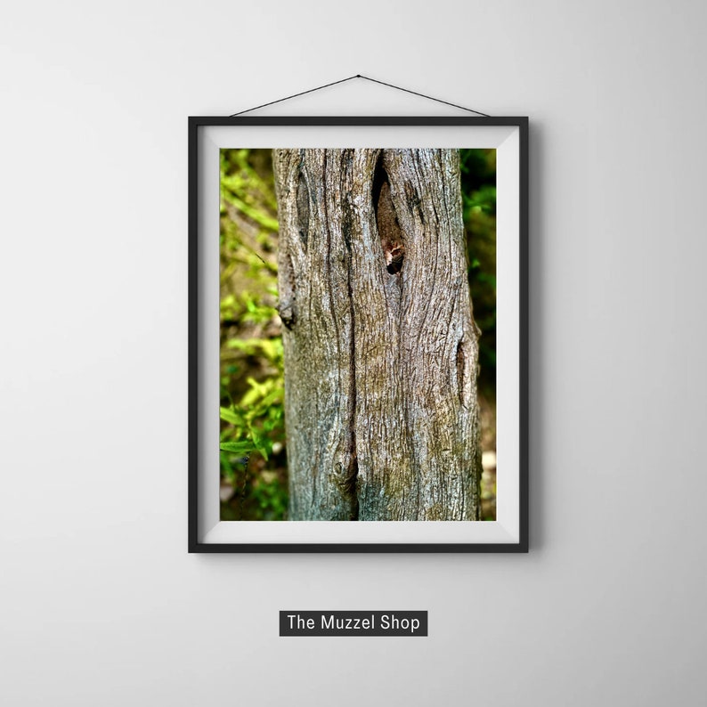 Tree Trunk up Close Digital Download Photo Print Wallpaper Background ...