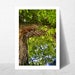 Unique Tree Trunk Digital Download Print Wallpaper Background - Etsy