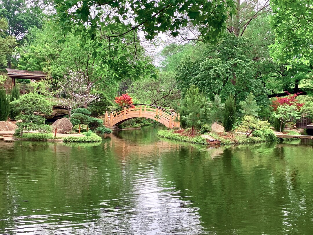 Digital Download Photo Print Wallpaper Background - Etsy