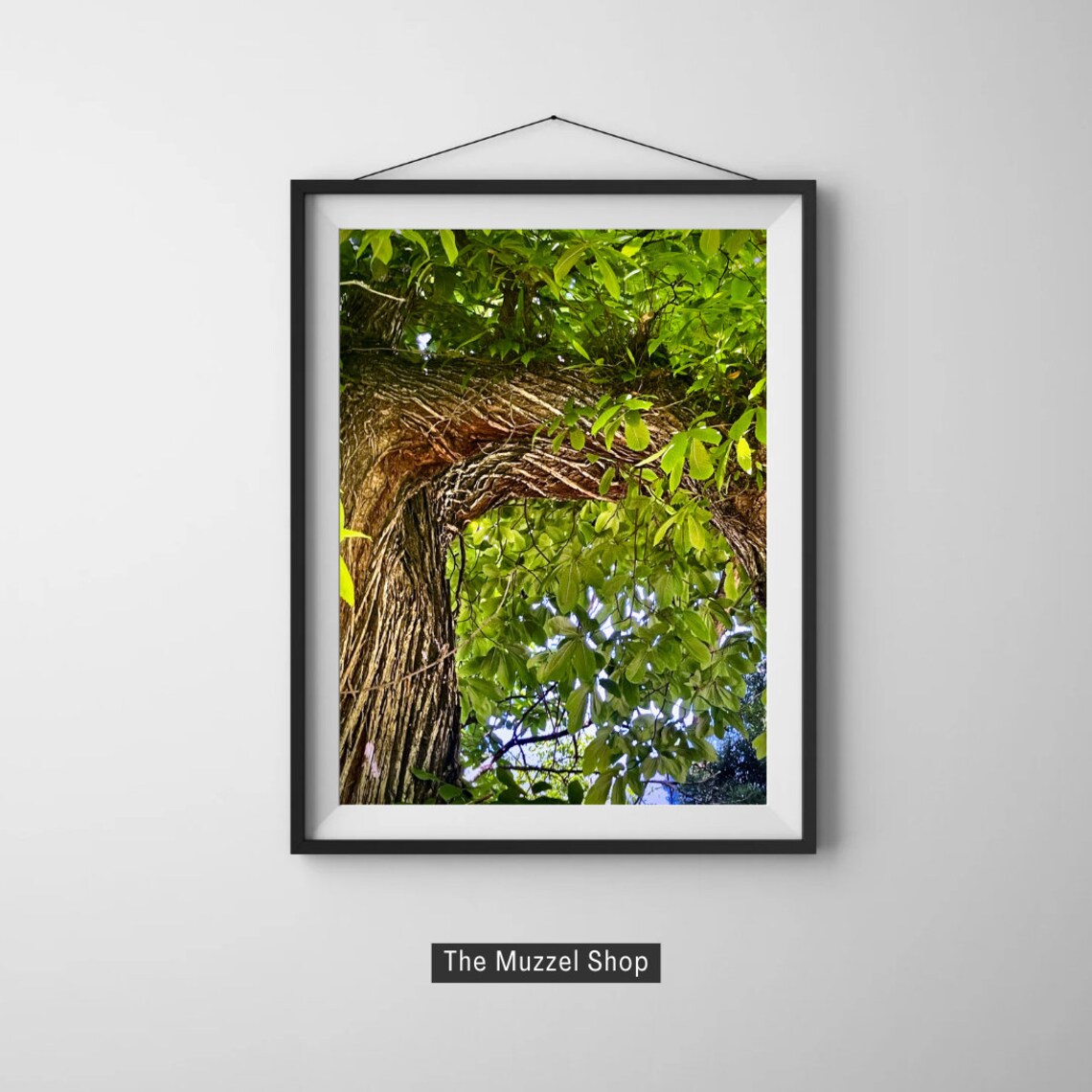Unique Tree Trunk Digital Download Print Wallpaper Background - Etsy