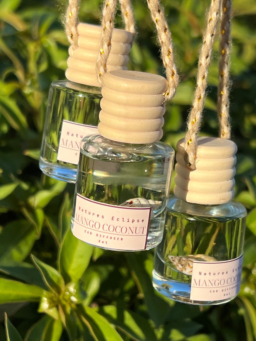 Mango Coconut Car Diffuser - Etsy