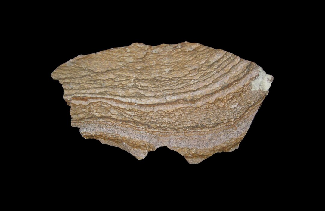 Wonderstone Rhyolite From the Black Rock Desert - Etsy