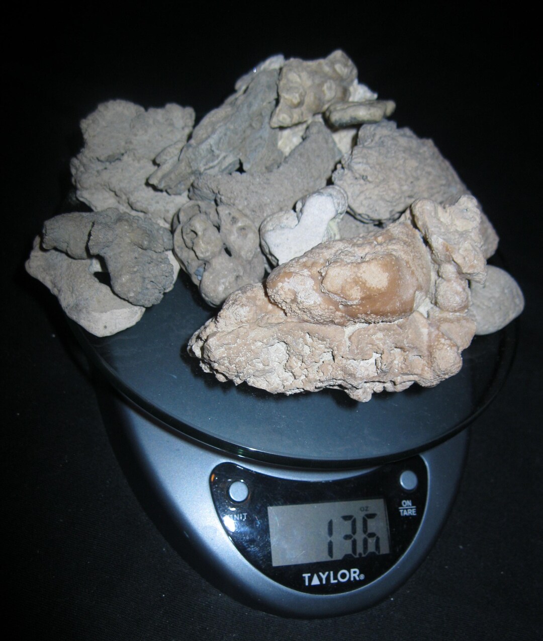 Bulk Tufa From the Black Rock Desert 14pcs - Etsy