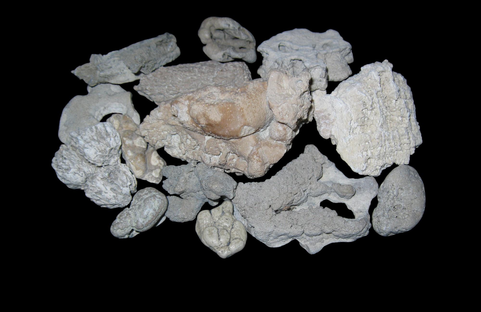 Bulk Tufa From the Black Rock Desert 14pcs - Etsy