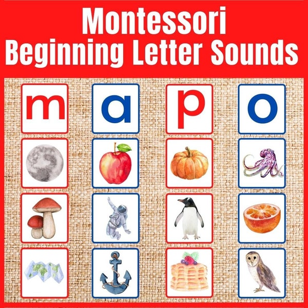 Montessori Alphabet - Etsy