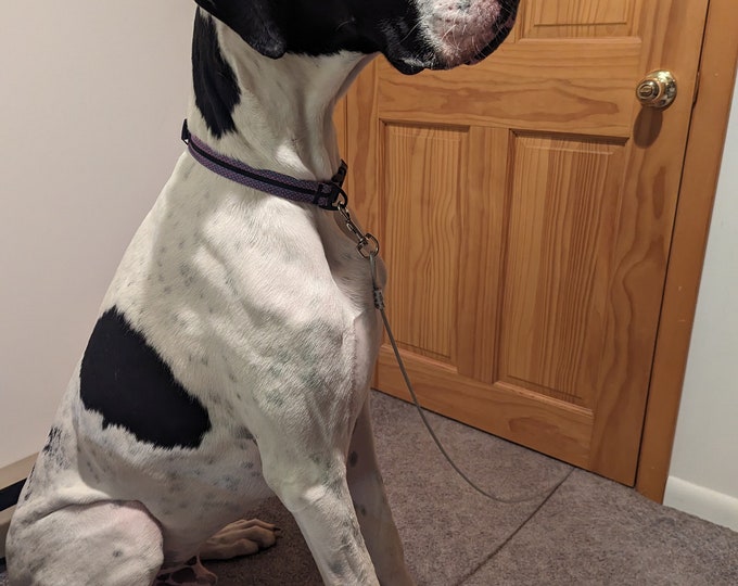 Portable Dog Tether for Interior Doors - Etsy