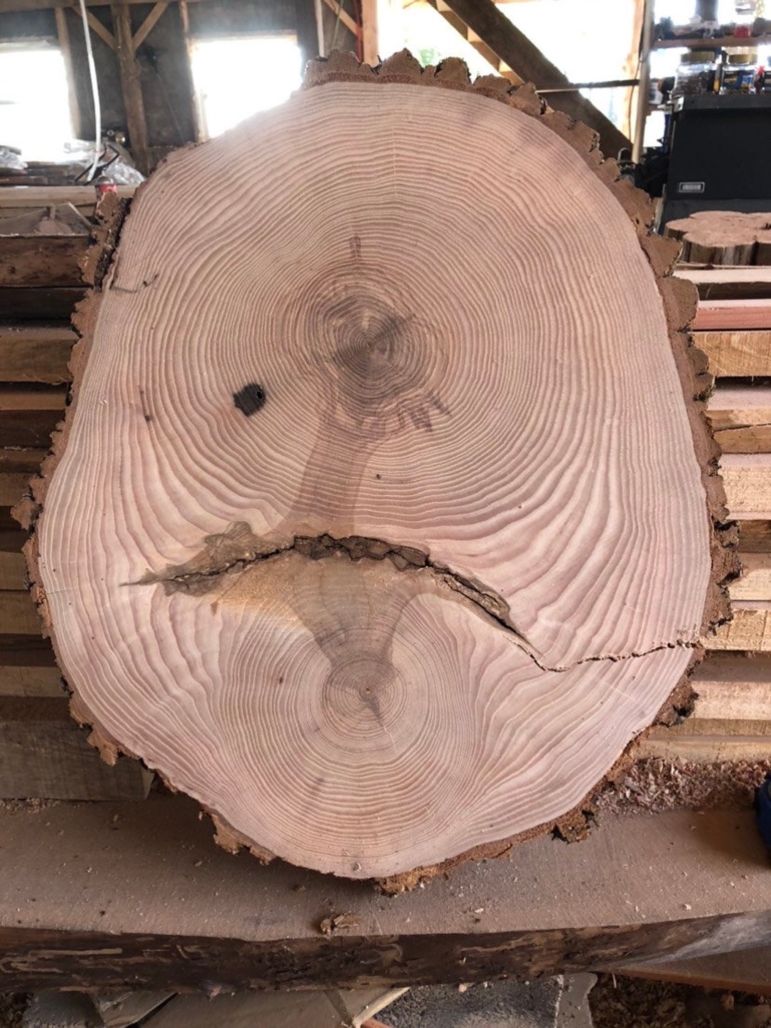 White Ash Cookie - Etsy