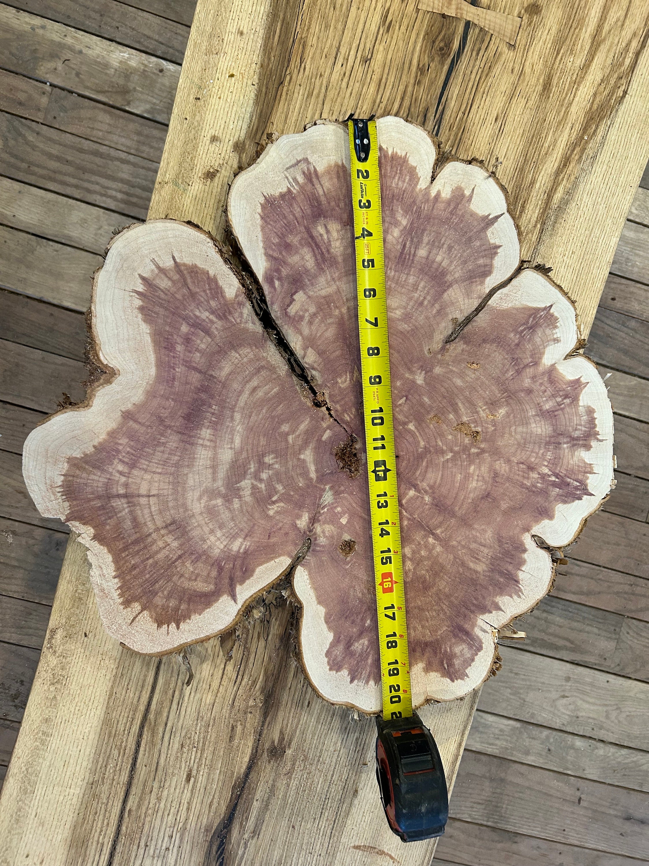 Large Live Edge Red Cedar Cookie - Etsy